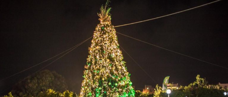 Kingston comes alive with virtual tree lighting tomorrow