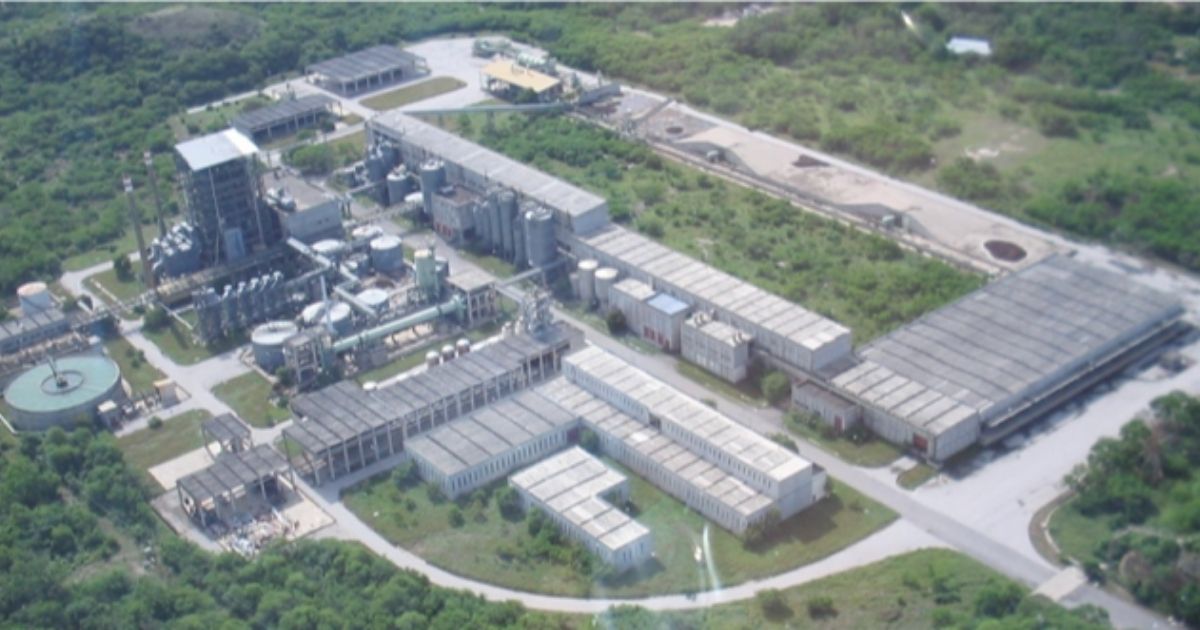 Jamaica to have only Bamboo Market Pulp Mill in Western Hemisphere