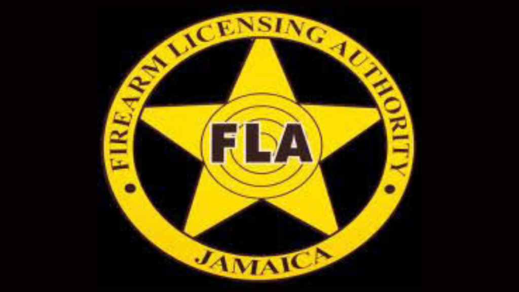 FLA paid millions to former workers; breached ministry guidelines — report