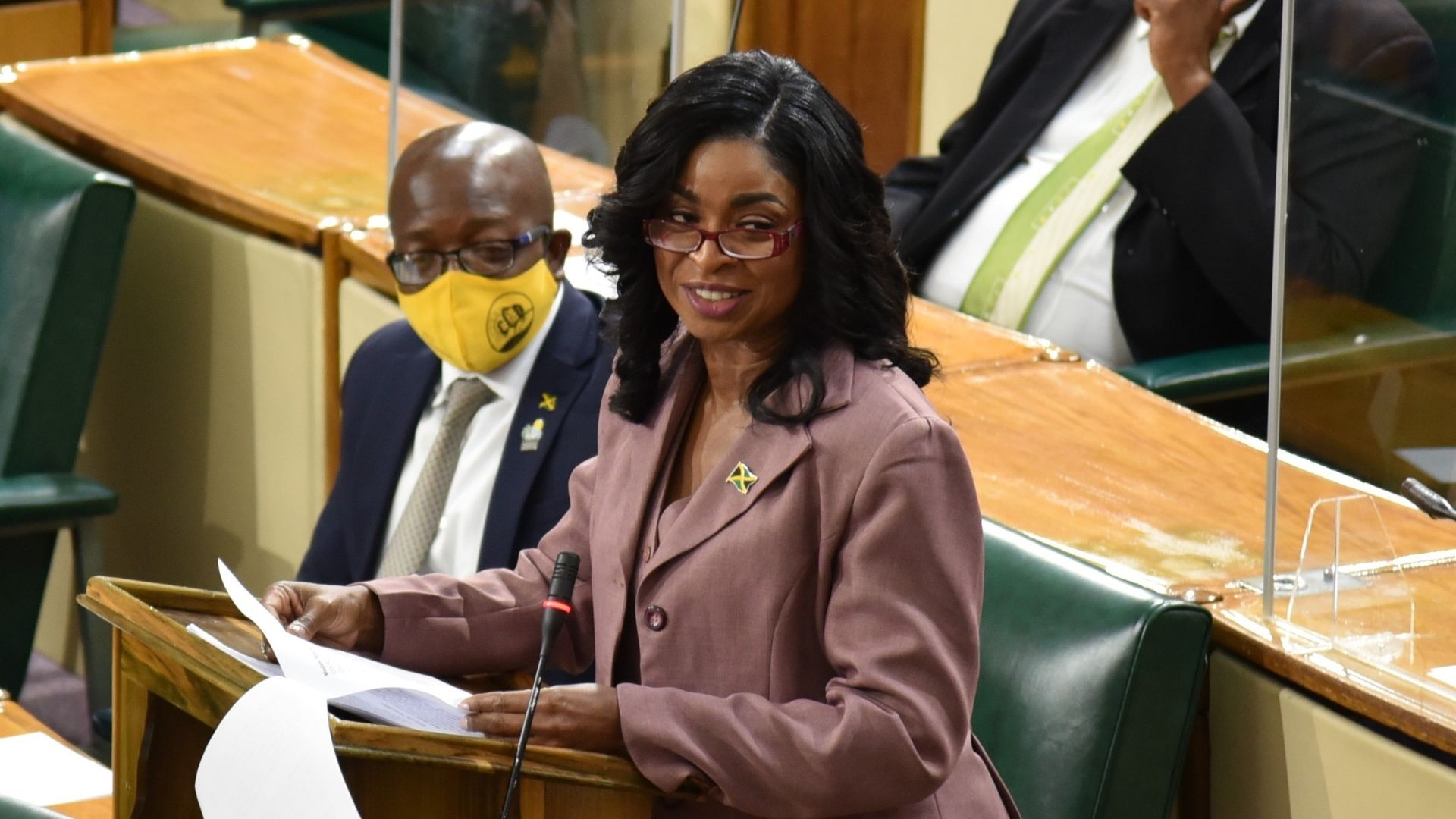 Member of Parliament calls for electronic monitoring of persons on bail