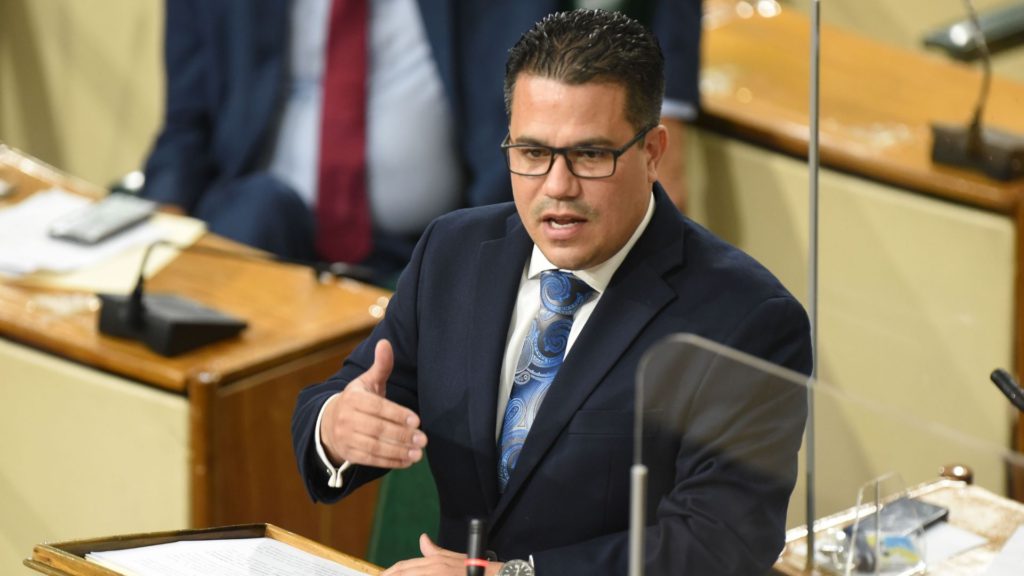 Samuda says more needed to tackle climate change