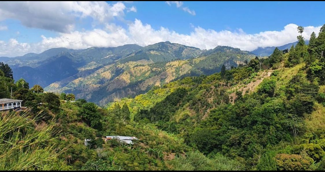 More Jamaicans are land owners - NLA
