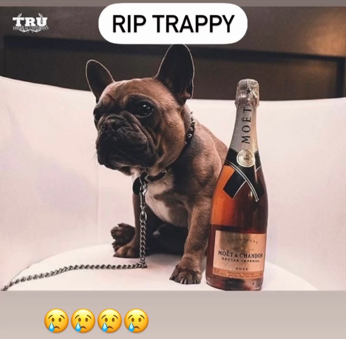 2 Chainz Mourns Death of Dog